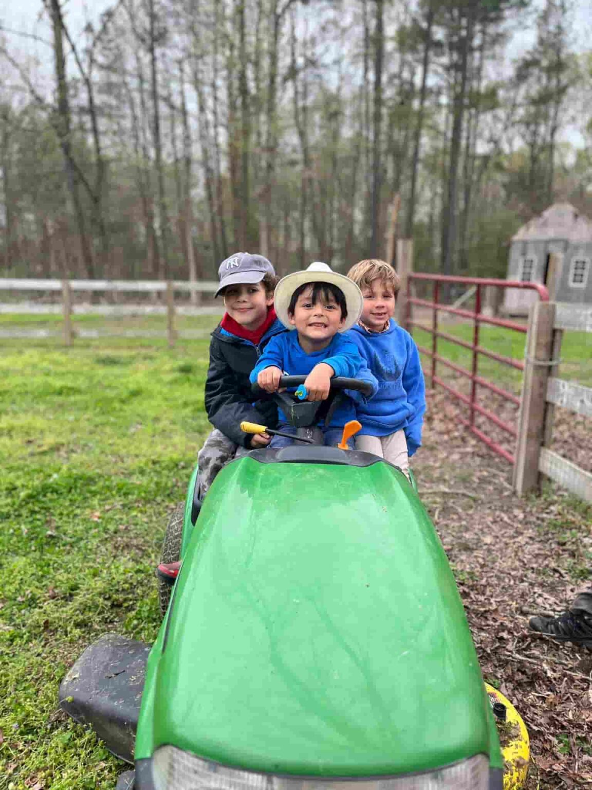 Ohana Fun Farm – Petting zoo